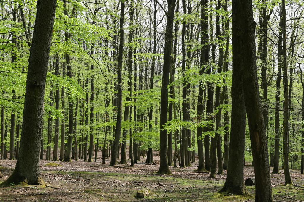 Easit GO som plattform för långsiktig digital utveckling - Easit